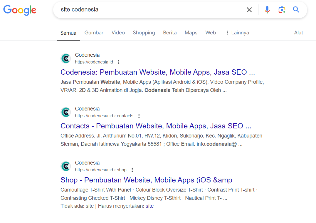 Panduan Lengkap dan Tips Ampuh: Cara Efektif Menggunakan Search Engine ...